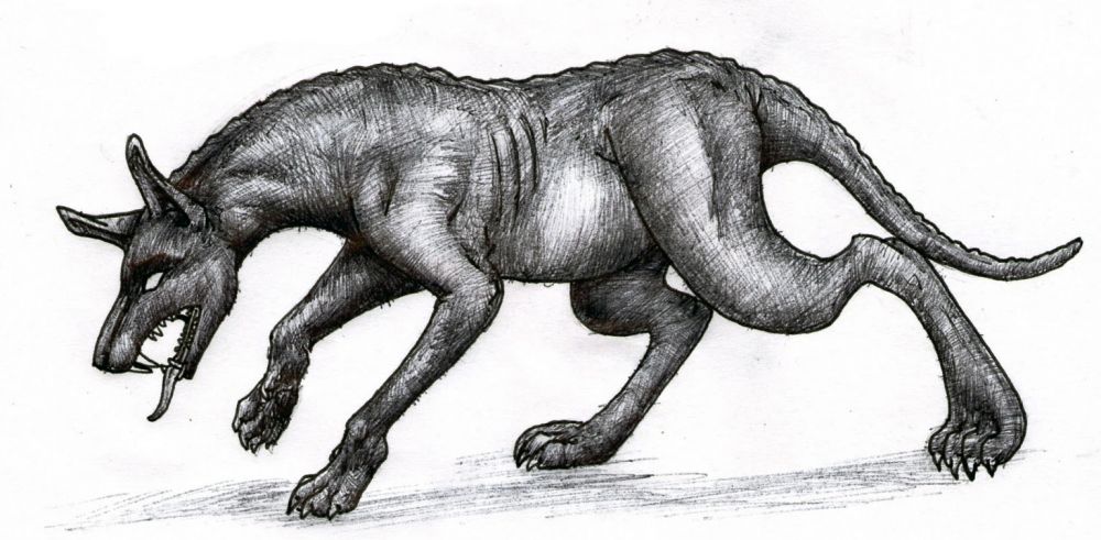 Chupacabra: The Most Convincing Stories - UFO Insight