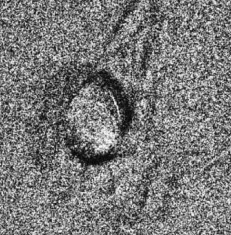 The Kinross Incident – The Disappearance Of Felix Moncla And Robert ...