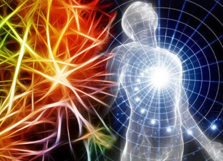 Links Between Cellular Memory And Organ Transplants - UFO Insight