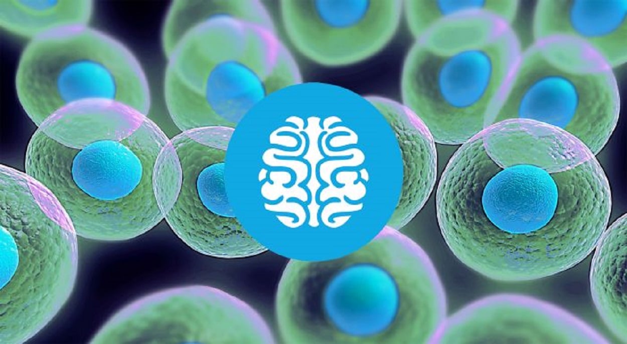 Links Between Cellular Memory And Organ Transplants - UFO Insight