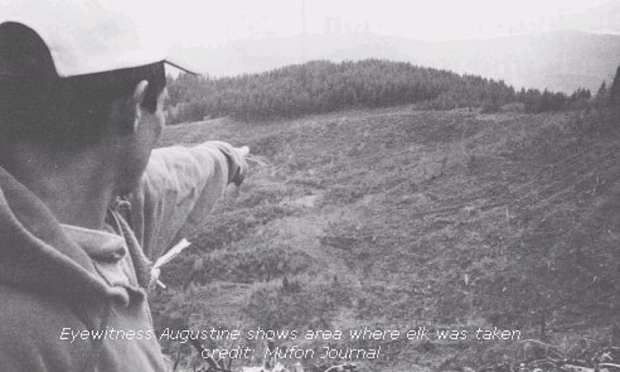 The 1999 Washington State Elk Abduction Incident - UFO Insight