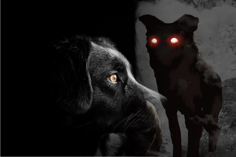 Bizarre Tales Of Demonic Black Dogs Around The World! - UFO Insight