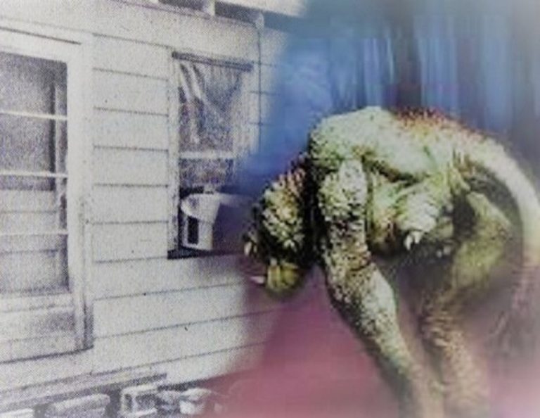An Alien? A Demonic Entity? Or A Horrific Beast? – The Enfield Monster ...