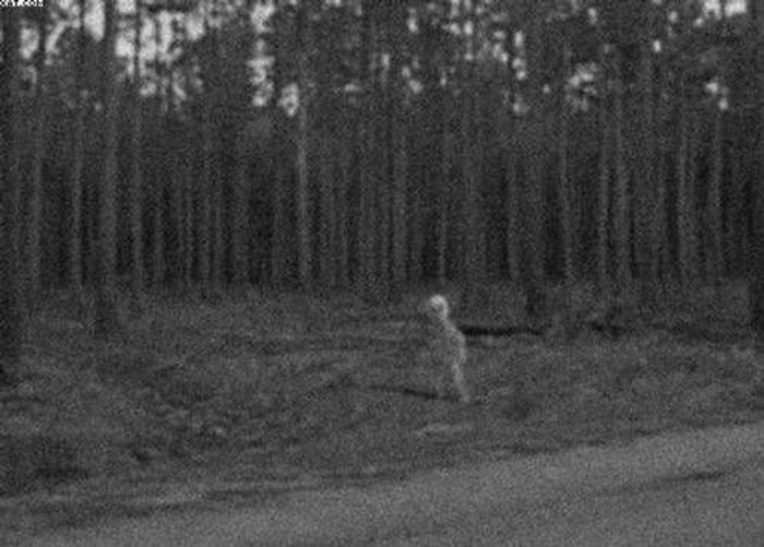 Truly Bizarre And Obscure Encounters With Mysterious Humanoid Entities Ufo Insight